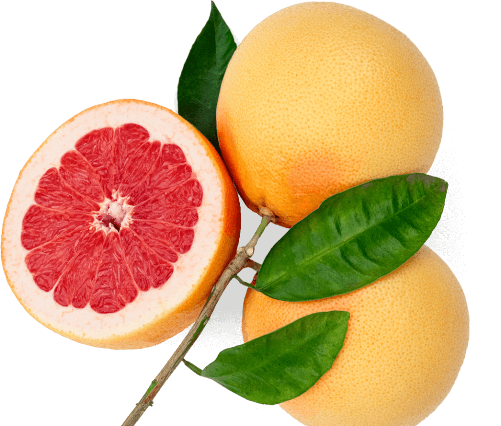 Grapefruit - Kings River Packing