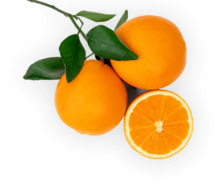 Heirloom Navel Oranges - Kings River Packing