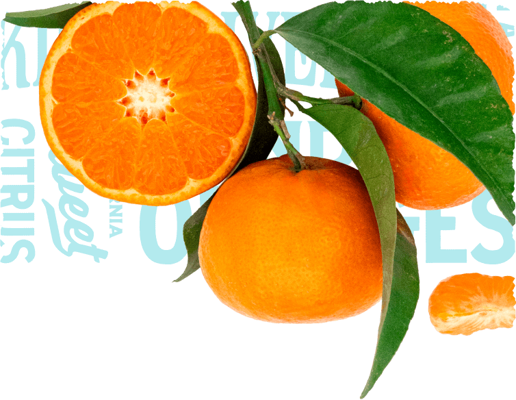 Fruit - Kings River Packing